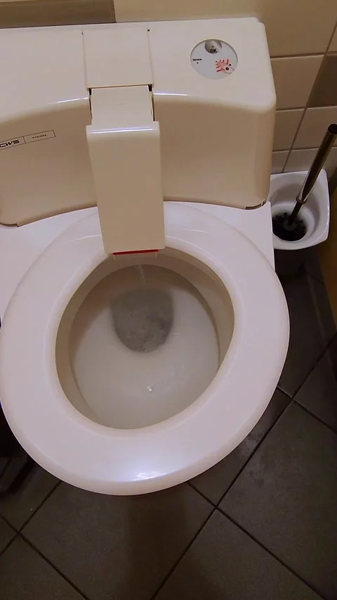 Toilet Seat Top View Stock Videos – Royalty-Free HD & 4K Videos | Pond5