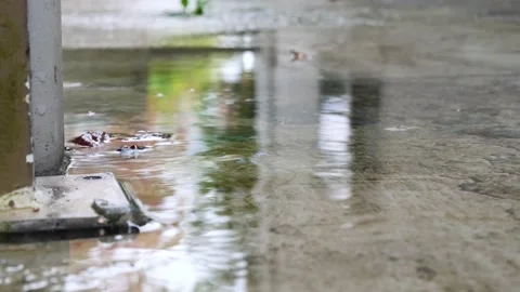 Puddle in heavy rainfall in Vancouver | Stock Video | Pond5