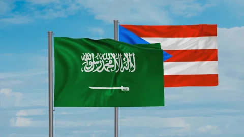 Puerto Rico Flag Stock Footage ~ Royalty Free Stock Videos | Pond5