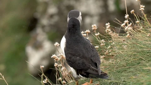 Take Off Hundrex Stock Videos – Royalty-Free HD & 4K Videos