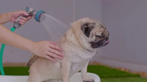 Tubi Take Off Stock Videos – Royalty-Free HD & 4K Videos | Pond5