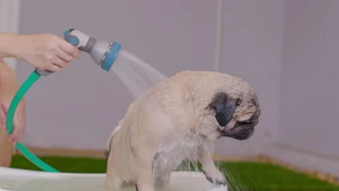 Tubi Take Off Stock Videos – Royalty-Free HD & 4K Videos | Pond5