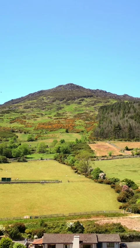 Pulloutz Video Stock Videos – Royalty-Free HD & 4K Videos | Pond5