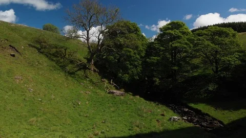 Head Back Through Stock Videos – Royalty-Free HD & 4K Videos | Page 3