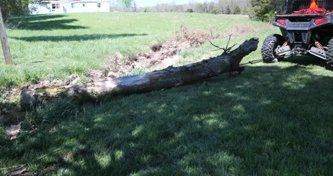 Pulling cut down tree with side by side ... | Stock Video | Pond5