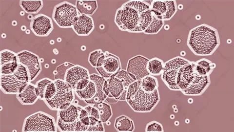 Pulsating cells of microorganisms on a p... | Stock Video | Pond5