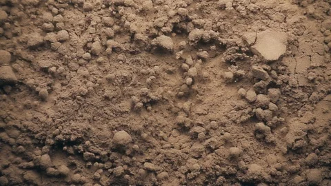 Cocoa Powder Design Stock Videos – Royalty-Free HD & 4K Videos | Pond5