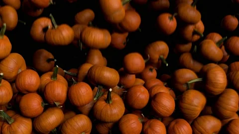 Pumpkins Falling Halloween Transition 4K... | Stock Video | Pond5