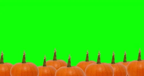 Pumpkins on a green screen. 4K loop anim... | Stock Video | Pond5