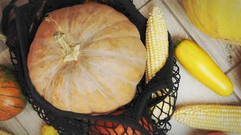 Sturing Corn Stock Videos – Royalty-Free HD & 4K Videos