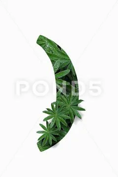 Punctuation marks are the right parenthesis isolated on a white ...