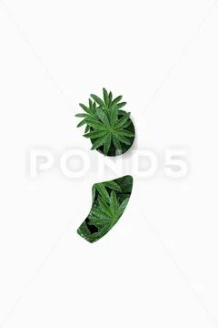 Punctuation marks are semicolons isolated on a white background ...