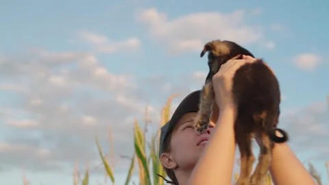 Puppy in hands of mistress of young woma... | Stock Video | Pond5