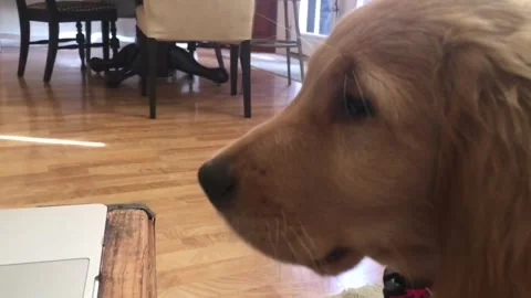 You Tubex Video Stock Videos – Royalty-Free HD & 4K Videos | Pond5