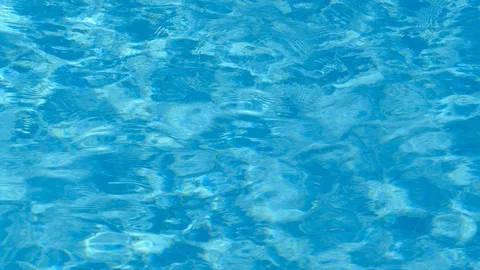 Pure Kity Video Stock Videos – Royalty-Free HD & 4K Videos