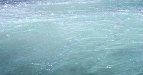 Pure Kity Video Stock Videos – Royalty-Free HD & 4K Videos