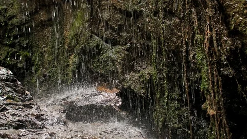 Dripping Water On Rock Stock Video Footage | Royalty Free Dripping ...