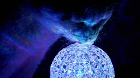 Ball Lickers Stock Videos – Royalty-Free HD & 4K Videos | Pond5