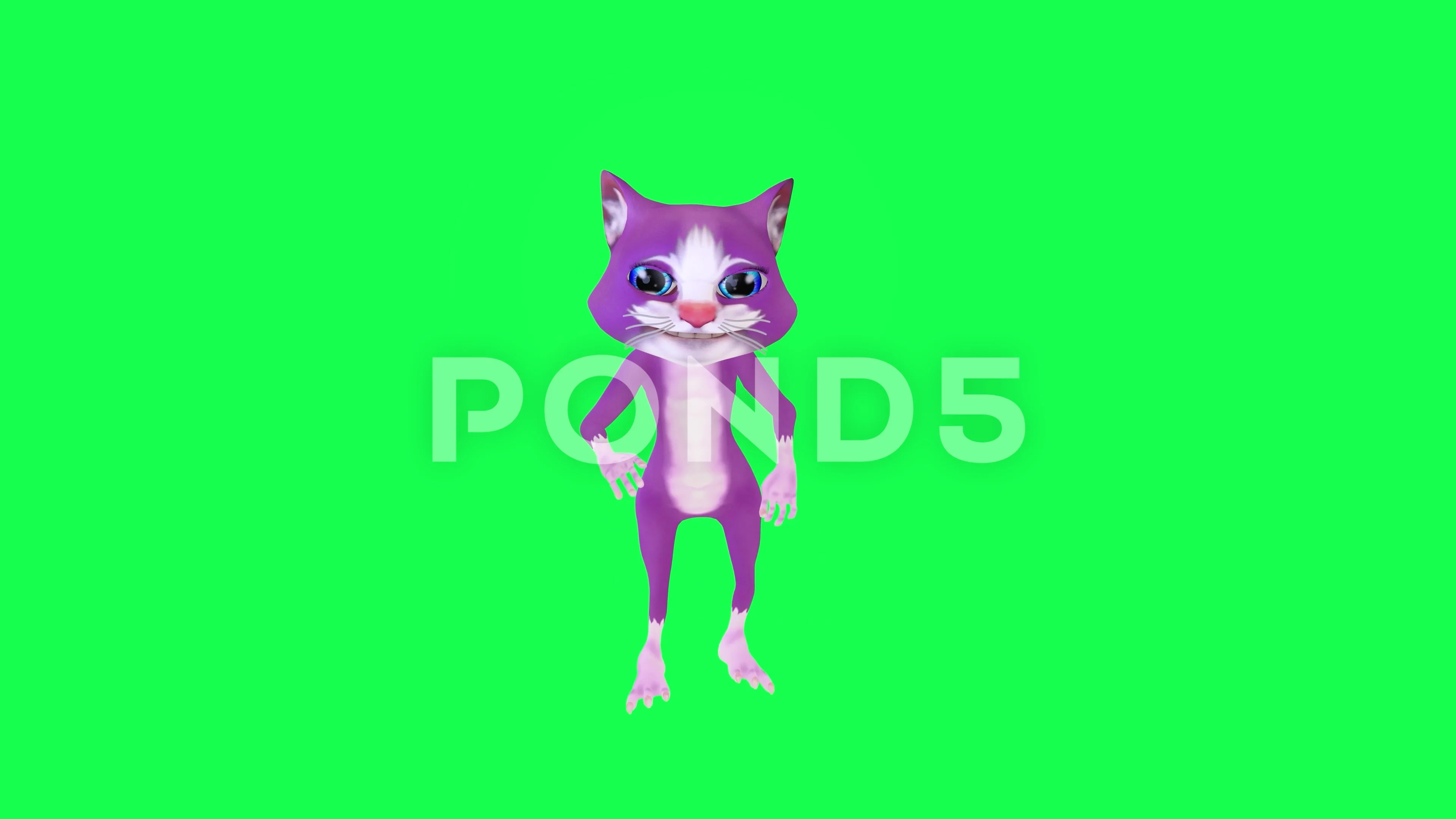 Dancing Cat Animation