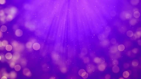 Purple colored looping animated motion b... | Stock Video | Pond5