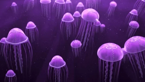 Jellyfish Loop Stock Videos – Royalty-Free HD & 4K Videos | Pond5