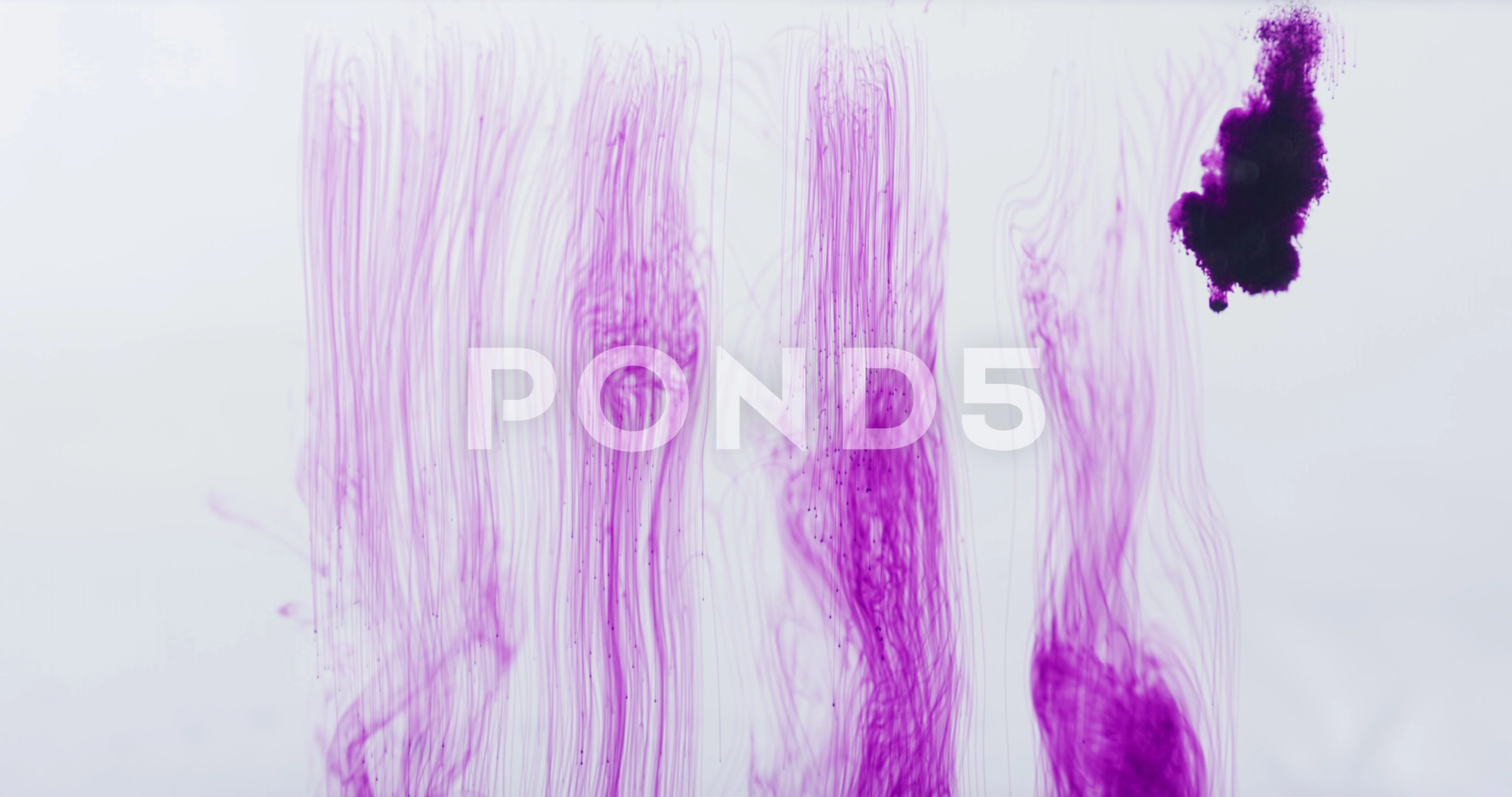 Purple Paint Brush From Dripping