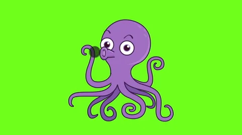 Octopus Green Screen Stock Footage ~ Royalty Free Stock Videos | Pond5