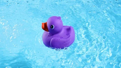 Rubber Duck] Stock Videos – Royalty-Free HD & 4K Videos | Page 3