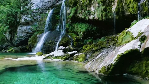 Push Tree Up Stock Videos – Royalty-Free HD & 4K Videos | Page 3