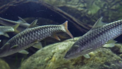 Torism Stock Video Footage | Royalty Free Torism Videos | Pond5