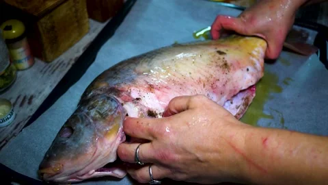 Putting fish on the tray , cooking fish | Stock Video | Pond5