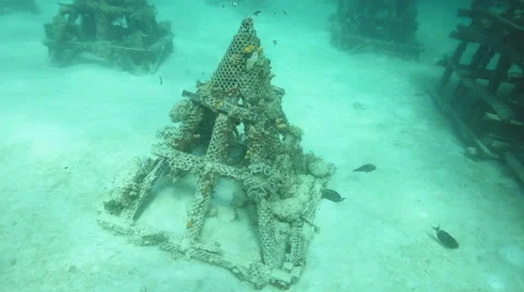 Pyramid artificial reef structures under... | Stock Video | Pond5