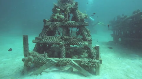 Pyramid artificial reef structures under... | Stock Video | Pond5
