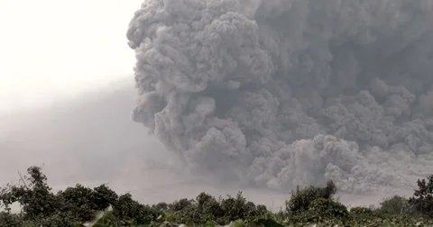 Ash Stock Footage ~ Royalty Free Stock Videos | Pond5