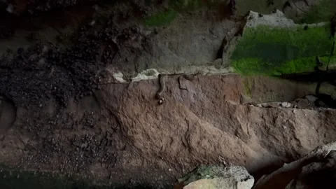 Cave Life Stock Video Footage | Royalty Free Cave Life Videos | Pond5