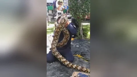 Python wraps itself around fireman's he... | Stock Video | Pond5