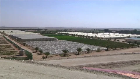 Qatar's organic farm produce expands int... | Stock Video | Pond5