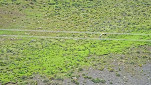 Qiang tang uninhabited areas In Tibet,Ch... | Stock Video | Pond5