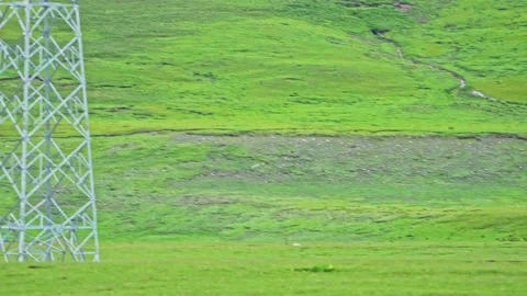 Qiang tang uninhabited areas In Tibet,Ch... | Stock Video | Pond5