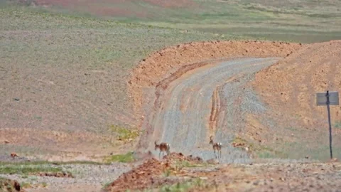 Qiang tang uninhabited areas In Tibet,Ch... | Stock Video | Pond5