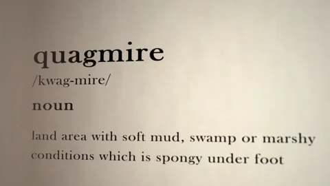 Quagmire Stock Videos – Royalty-Free HD & 4K Videos | Pond5