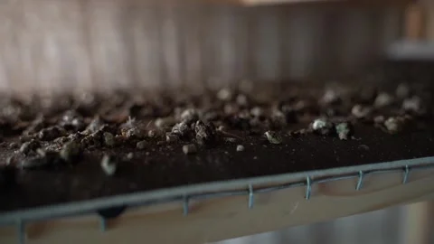 Quail droppings on a bedding under a cag... | Stock Video | Pond5