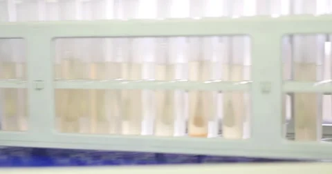 Quality Check Lab Stock Video Footage | Royalty Free Quality Check Lab ...