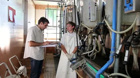 Quality Control at the Dairy Farm | Stock Video | Pond5