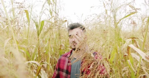 Quality control green sorghum farm. gree... | Stock Video | Pond5