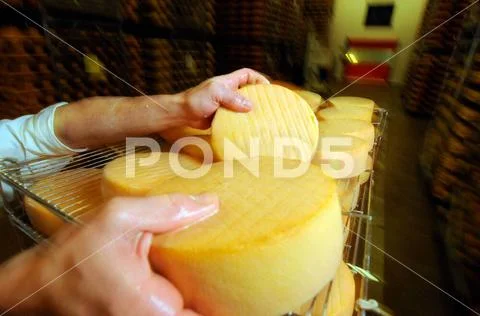 Quality control in the process of cheese ripening in industrial food ...