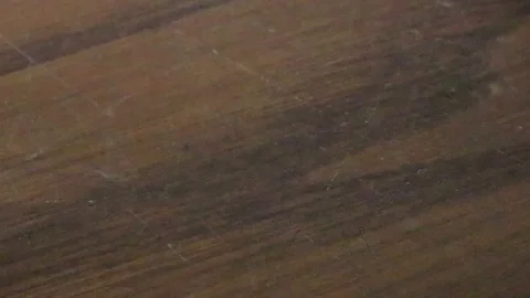 Quarters shown on table one by one | Stock Video | Pond5