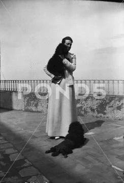 Queen Victoria s pictures. Victoria with their poodles. Copyright ...