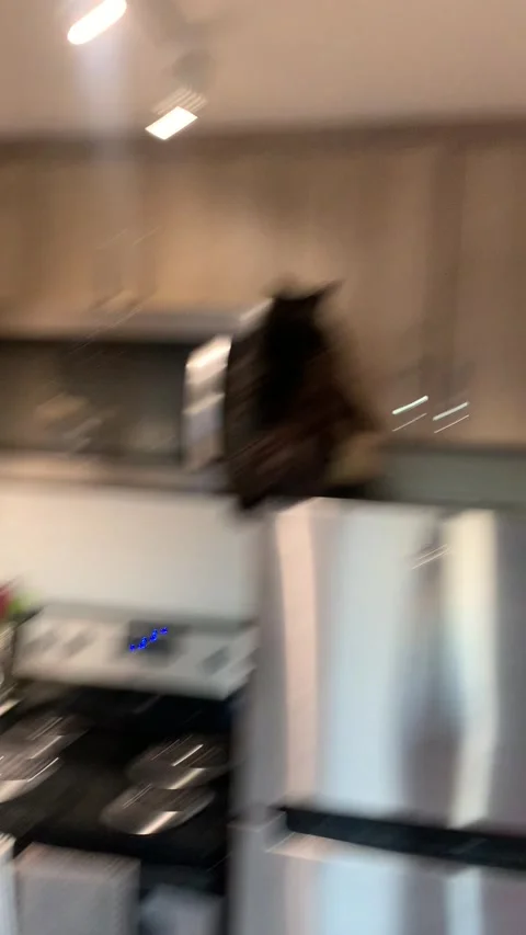 Quick Saves Stock Videos – Royalty-Free HD & 4K Videos | Pond5