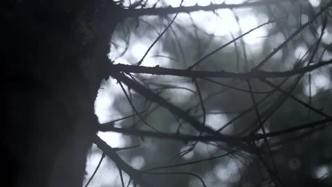 Cold and Quiet Stock Videos – Royalty-Free HD & 4K Videos | Pond5